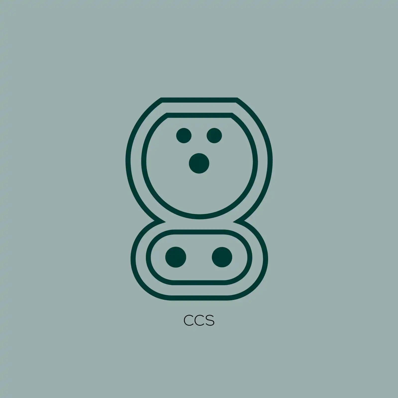 Det er nemt at blive forvirret over stiktyper - Hvilket stik passer dig ...